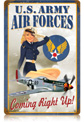 AIR FORCES PIN UP SIGN - warshows.com